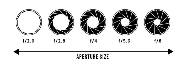 What is Aperture? The Ultimate Photography Guide