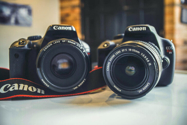 Best Memory Cards for Canon Rebel T7 (in 2024)